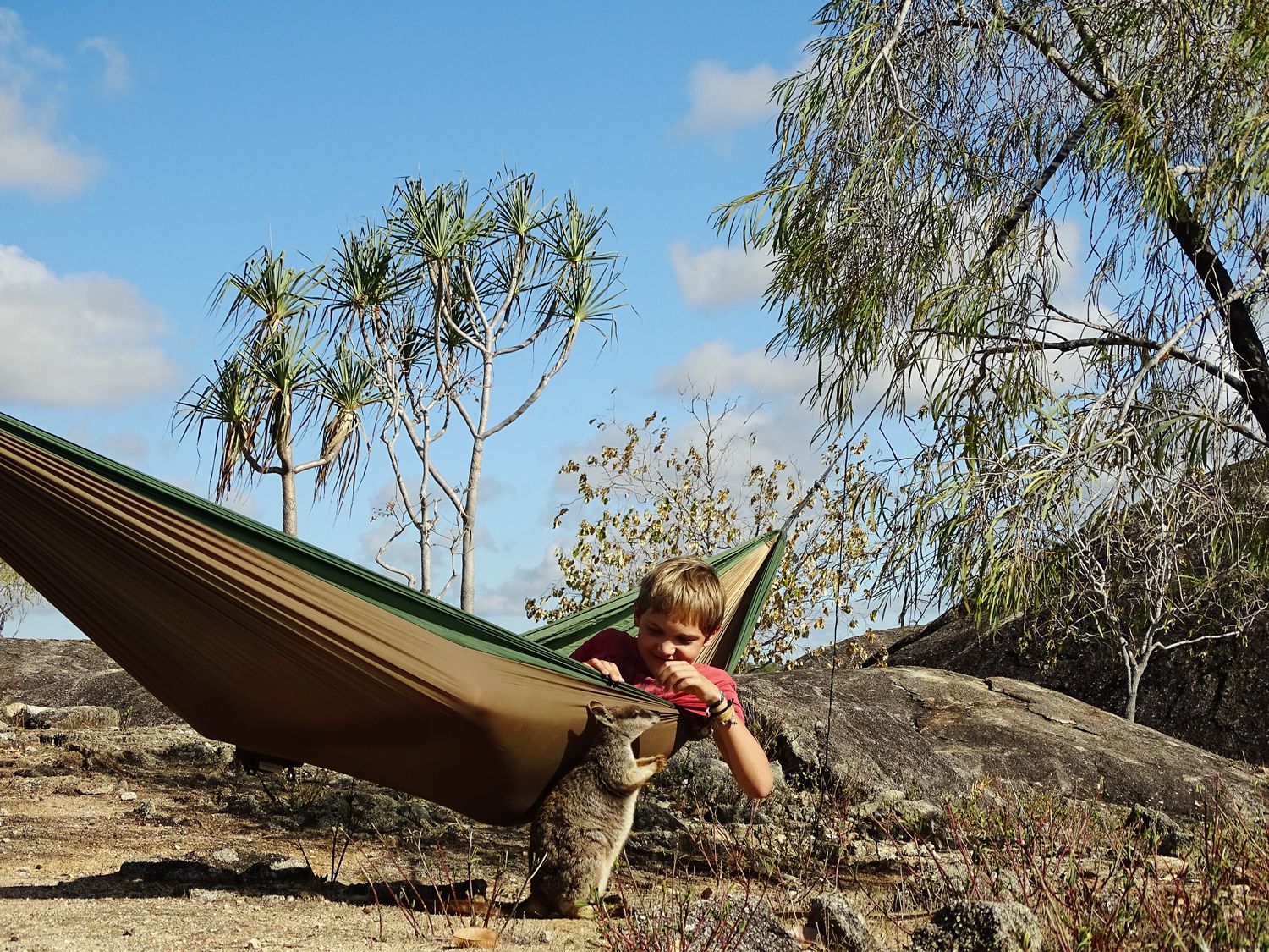 Hängematte Adventure Ultralight - coyote | coyote | 200040